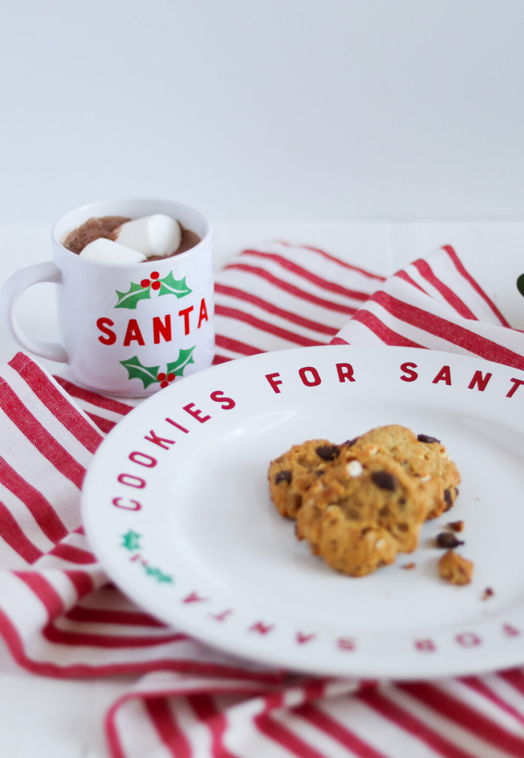 How to Make a Cookies for Santa Plate with Cricut - Have a Crafty Day